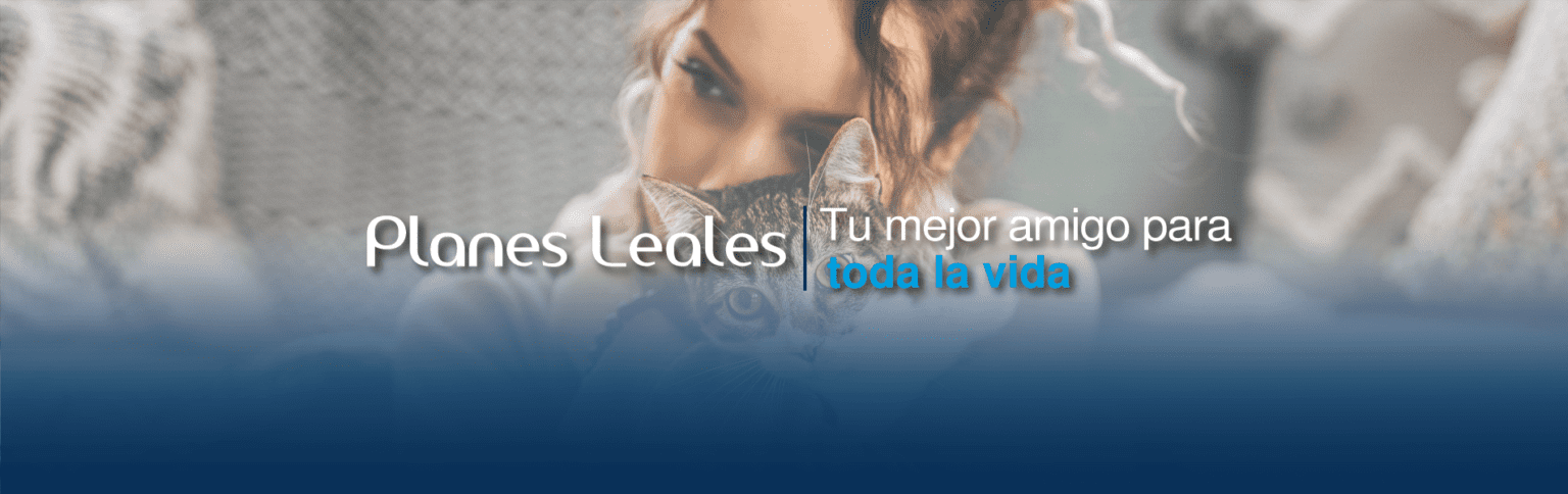 Leales | Proexequiales Resurgir